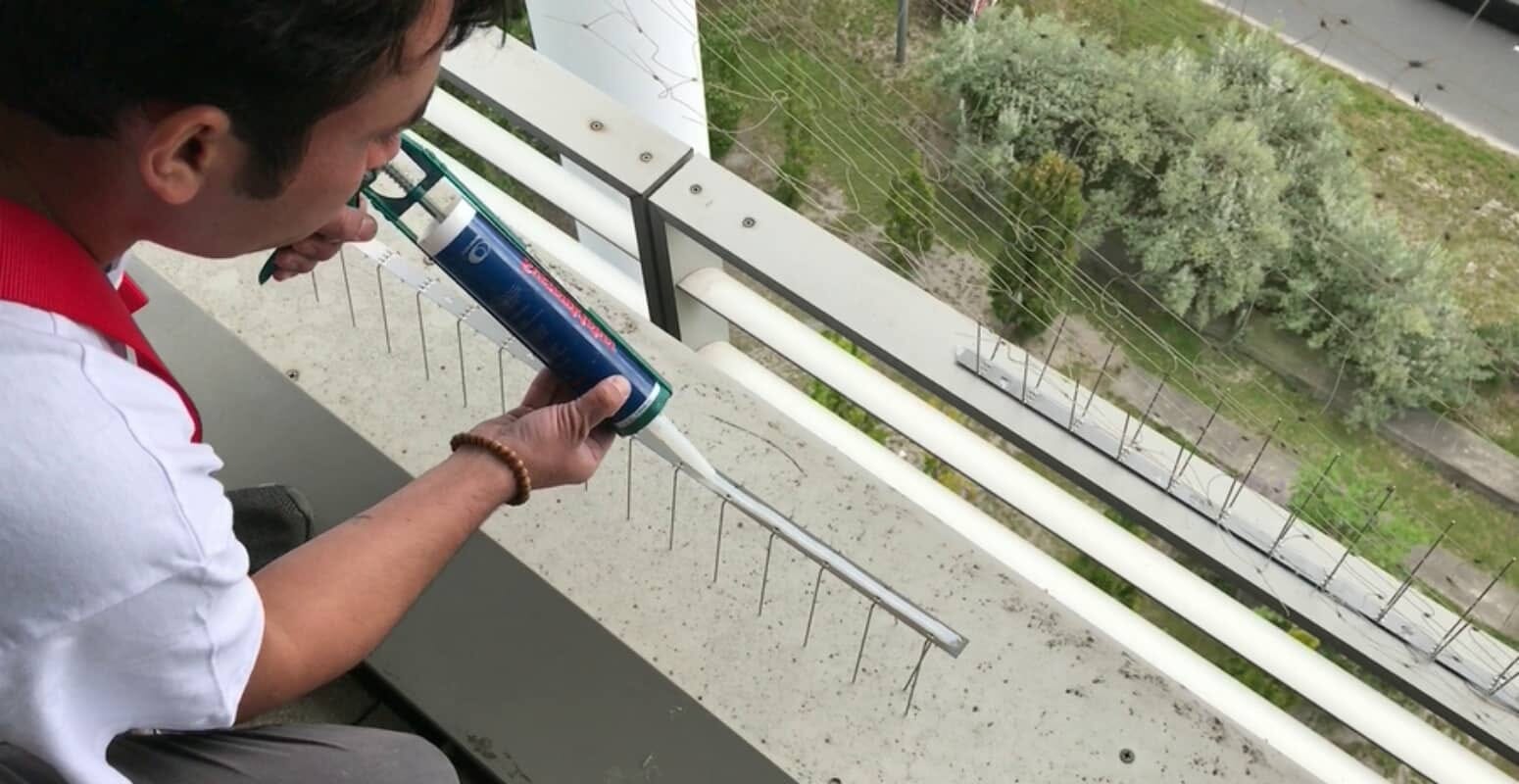 Taubenabwehr: So halten Sie Tauben fern von Terrasse & Balkon